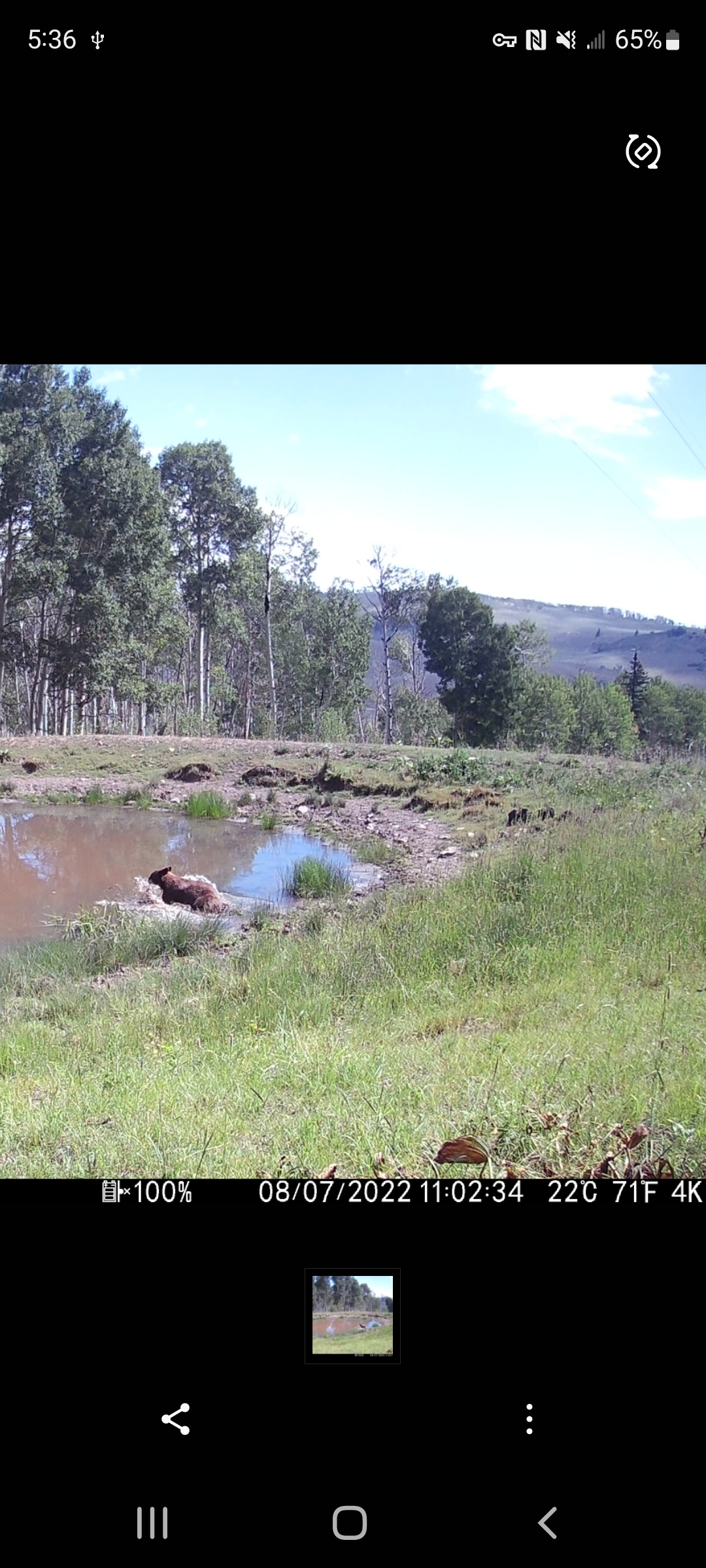 Trail Cam Footage - Cassidy Outfitters