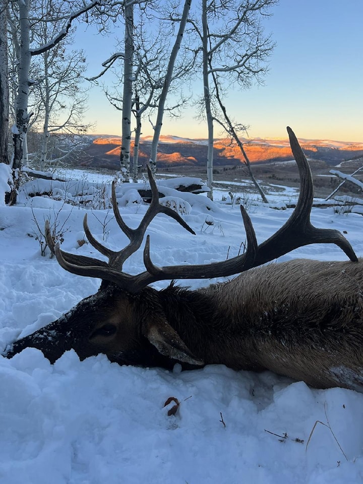 Colorado Big Game Hunts from Cassidy Outfitters